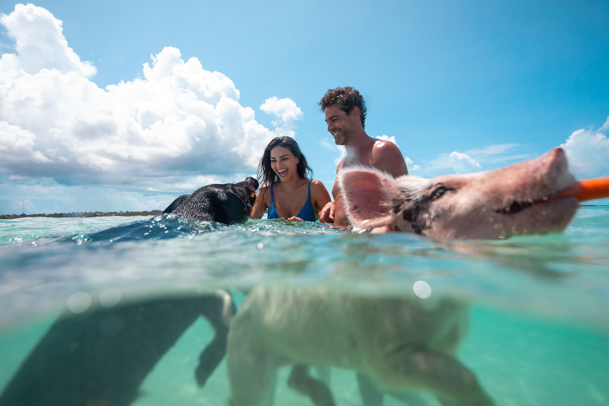 Escape to Rose Island: Bahamas’ Hidden Gem | SANDALS